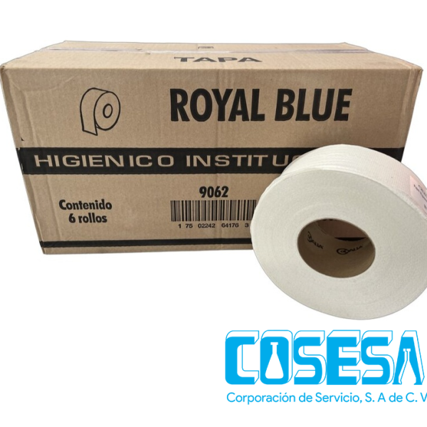 Insumos de papel - Cosesamex